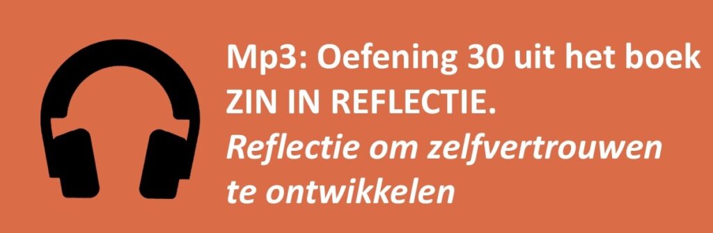 Het boek Zin in reflectie - Korthagen